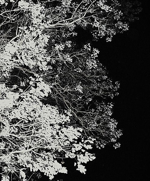 Spring Time Tsumeb photo, Tsumeb Namibia Africa