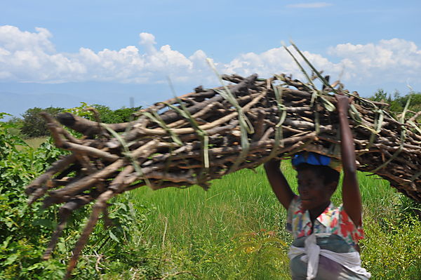 African Carrying Firewood