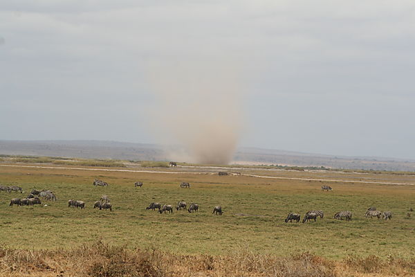 Whirlwind Or "devil Wind" photo, Amboseli Kenya Africa